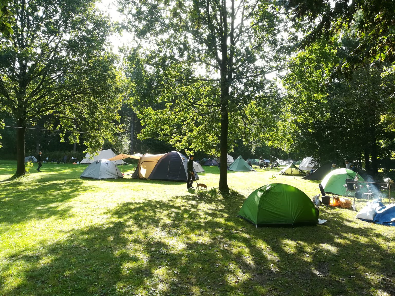 De camping – Natuurcamping "De Altena" Zeewolde
